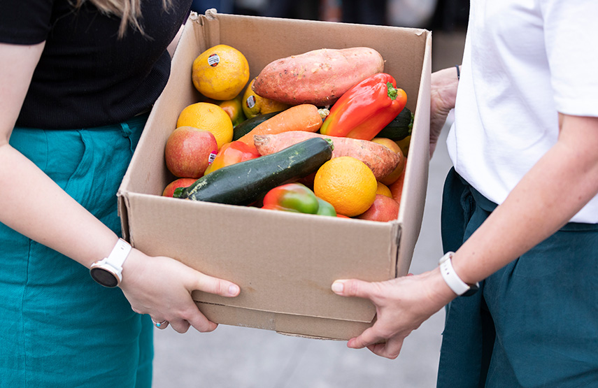QVM food rescue program turns surplus produce into relief for ...
