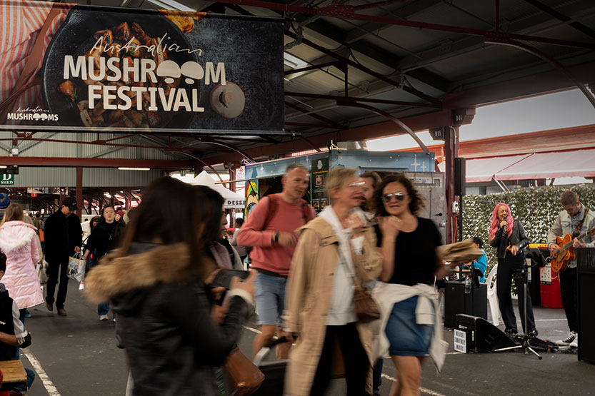 First-ever Mushroom Festival a success | CBD News
